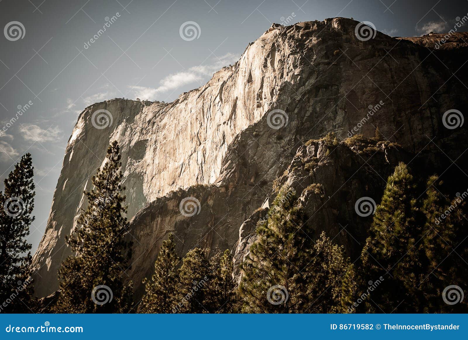 Yosemite - the Dawn Wall of El Capitan Stock Photo - Image of valley ...