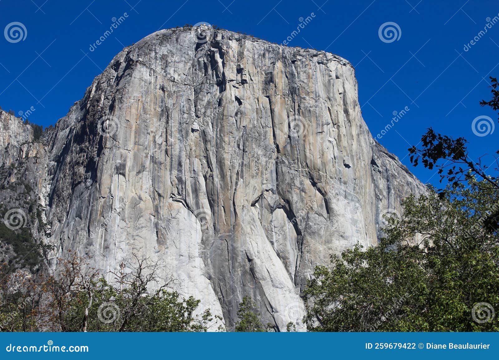 Yosemite el capitan foto de archivo. Imagen de color - 259679422
