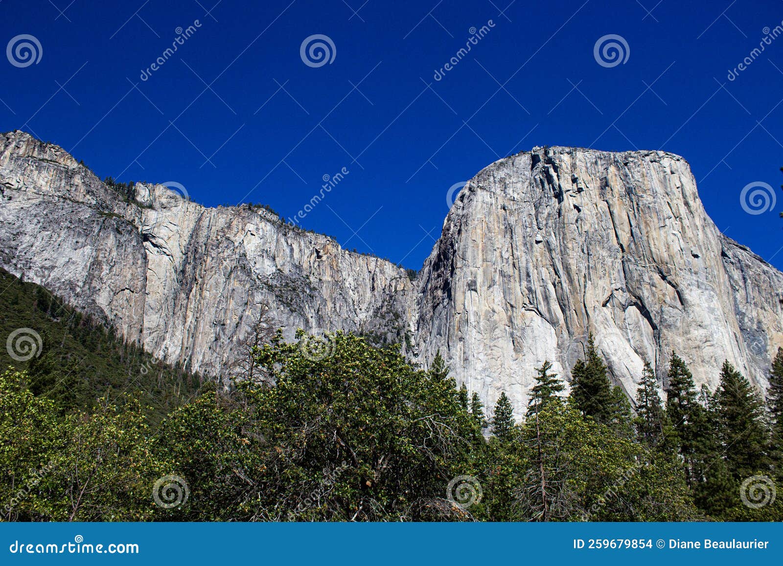 Yosemite el capitan foto de archivo. Imagen de california - 259679854