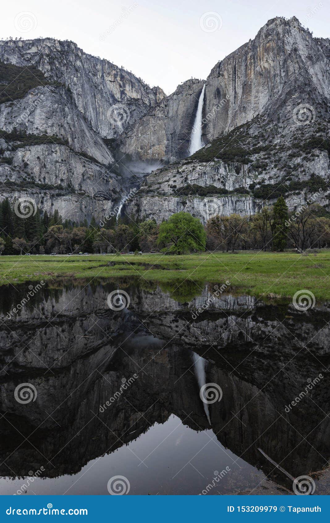 Yosemite Falls and Reflection on Merced River, El Capitan Meadow ...