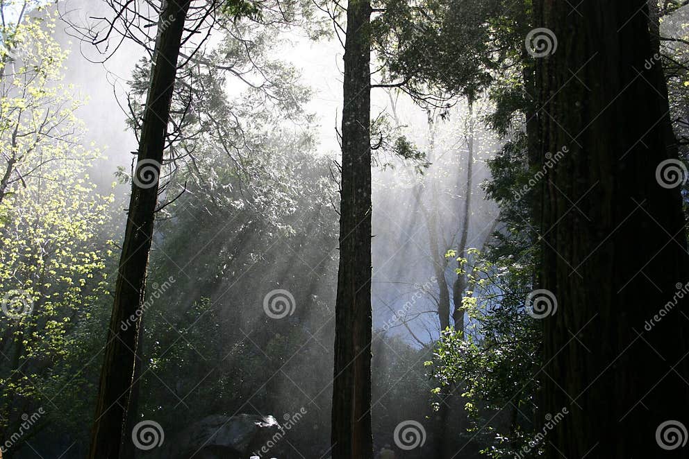 Yosemite Mist stock image. Image of gush, clean, forest - 467719