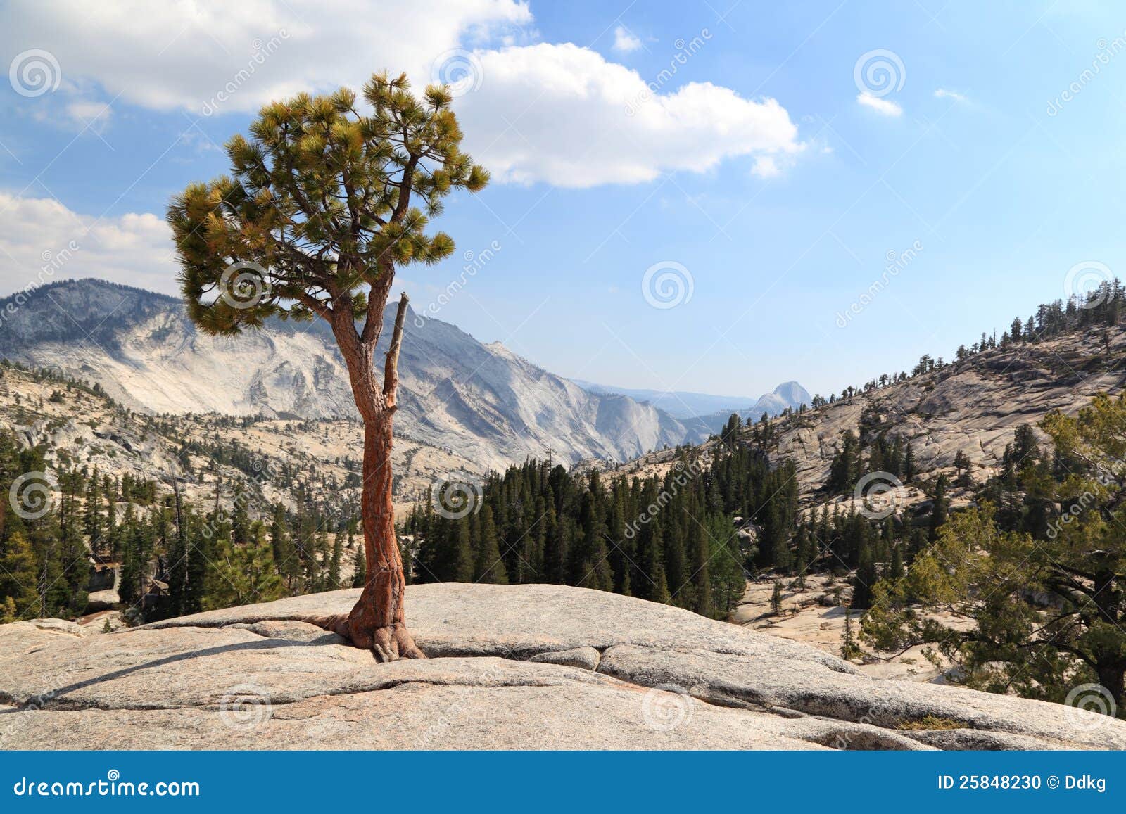 Yosemite National Park: Olmsted Point Stock Photo - Image of hiking ...