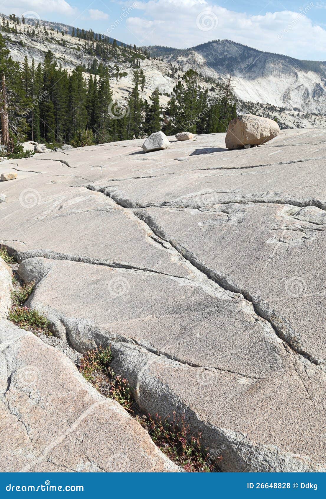 Yosemite National Park: Olmsted Point Stock Photo - Image of geology ...