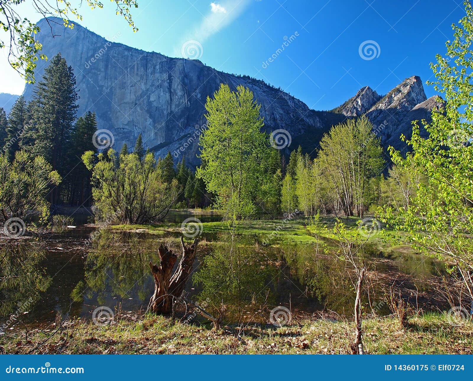 Yosemite National Park in Spring Stock Image - Image of outdoor, lake ...
