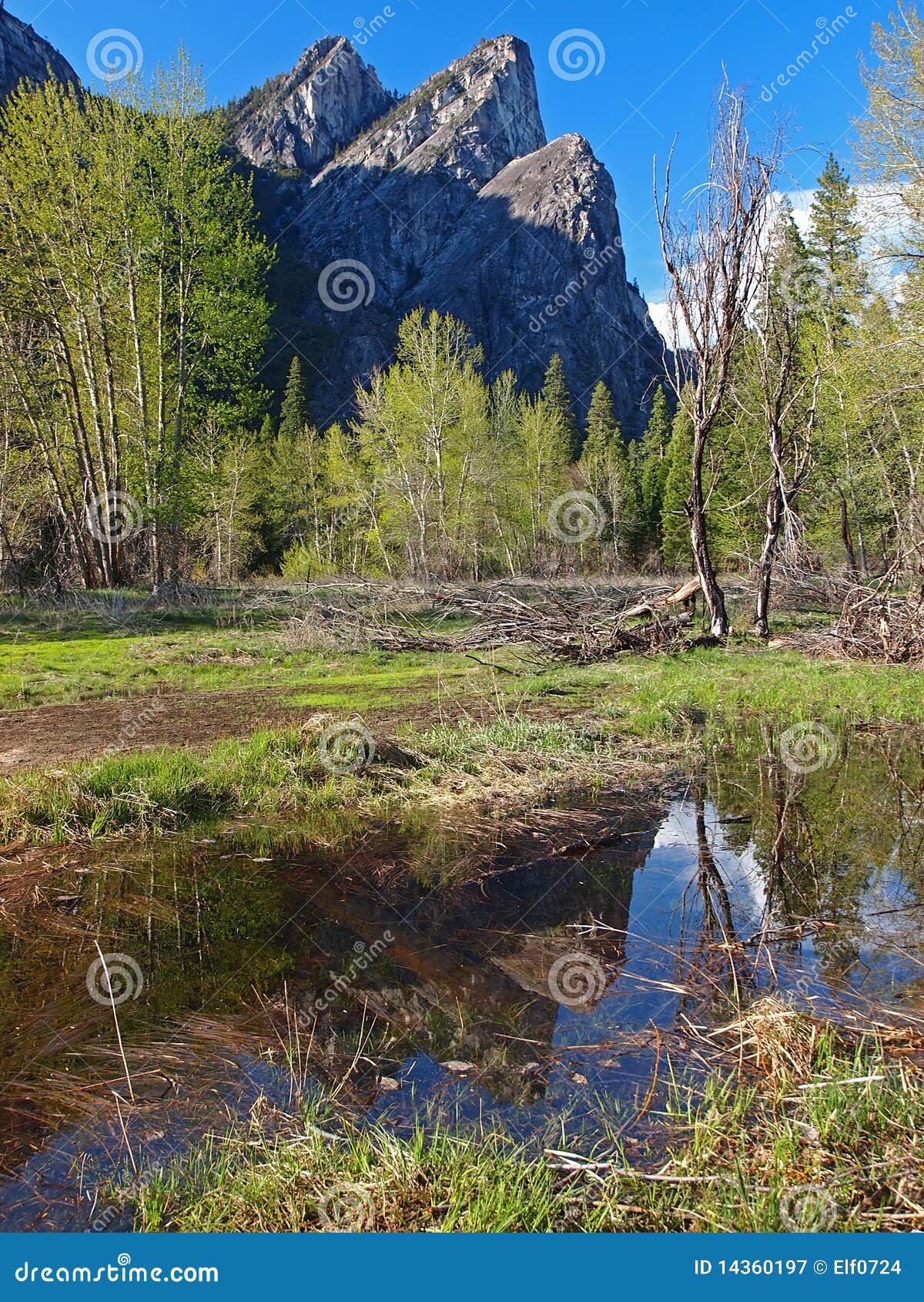 Yosemite National Park in Spring Stock Image - Image of environment ...