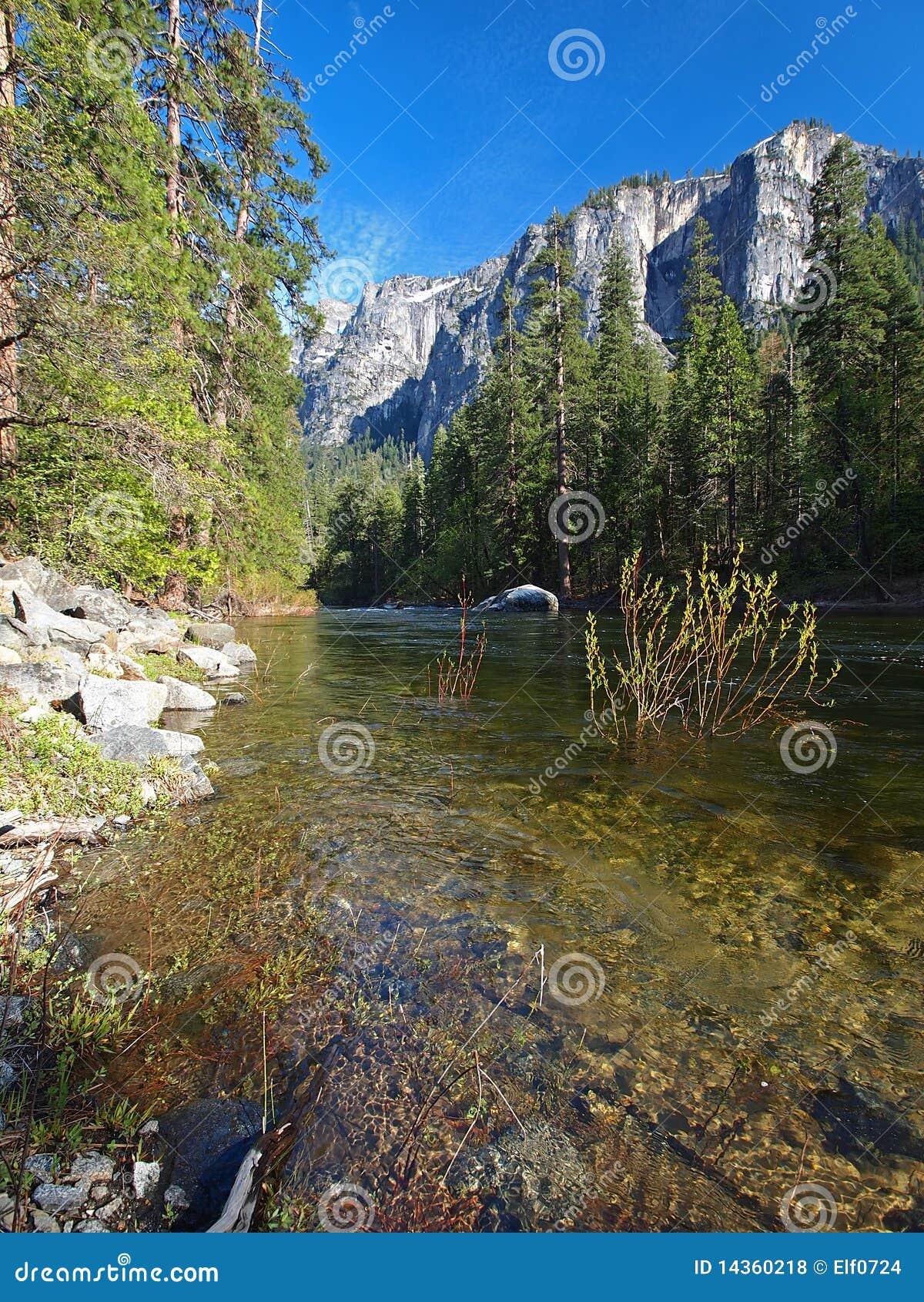 Yosemite National Park in Spring Stock Photo - Image of rock, mountain ...