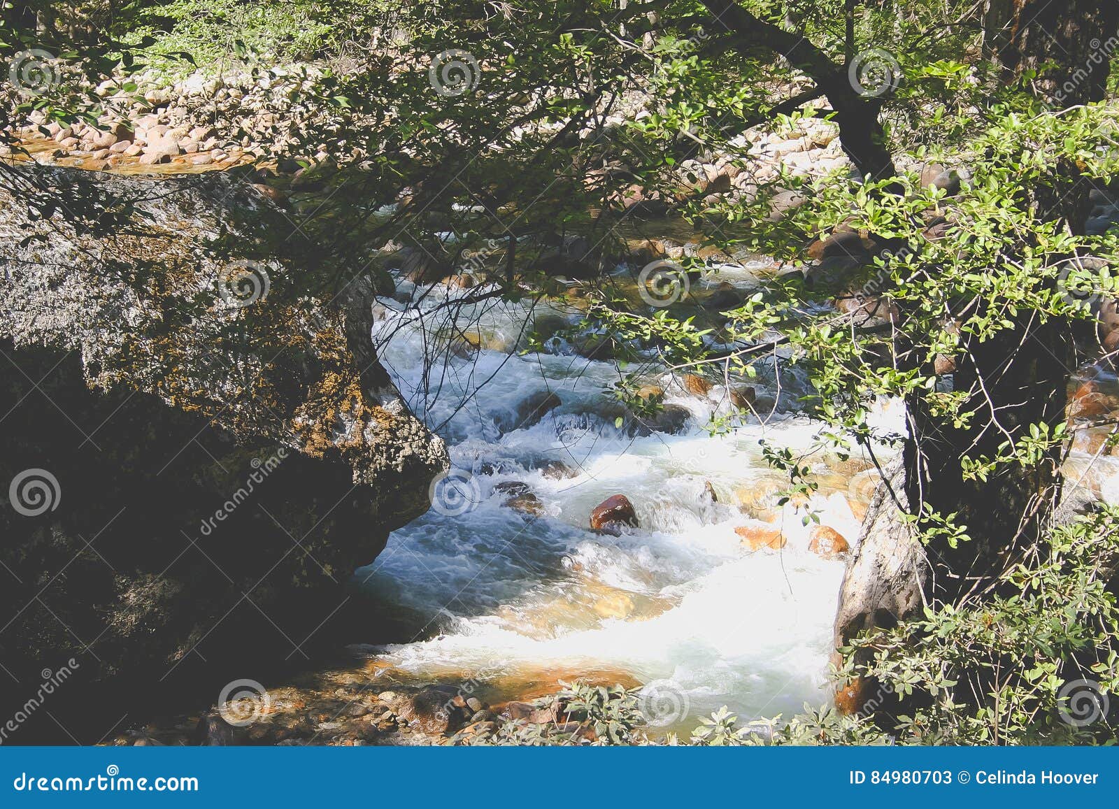Yosemite National Park stock image. Image of yosemite - 84980703