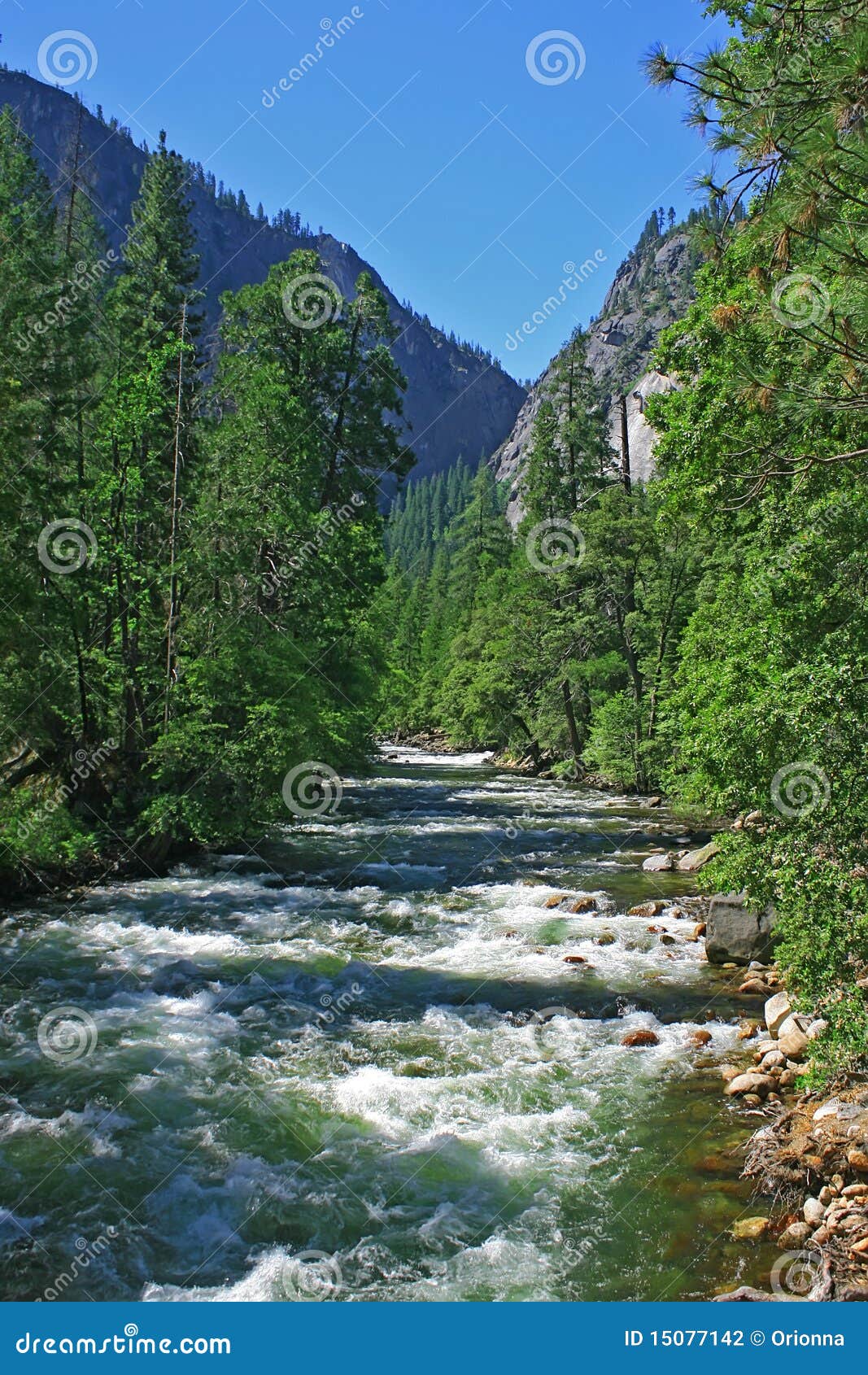 Yosemite River in Summer on a Clear Day Stock Photo - Image of brook ...