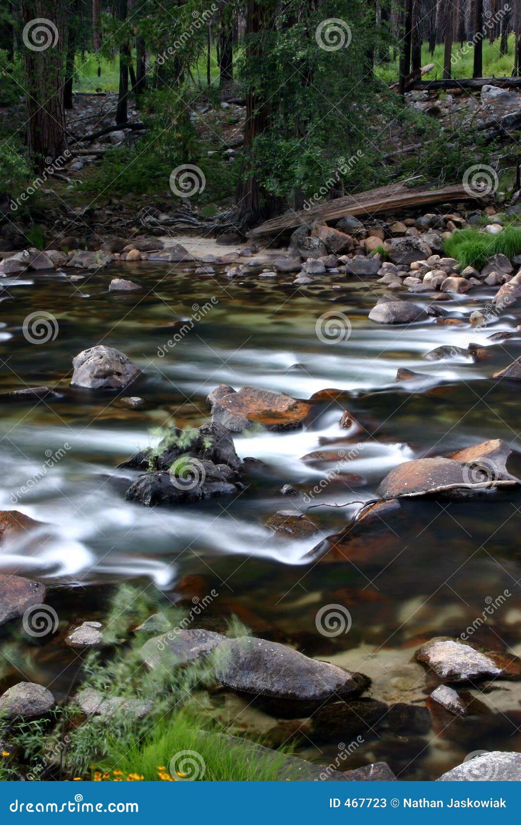 Yosemite Stream stock image. Image of motion, pebble, california - 467723