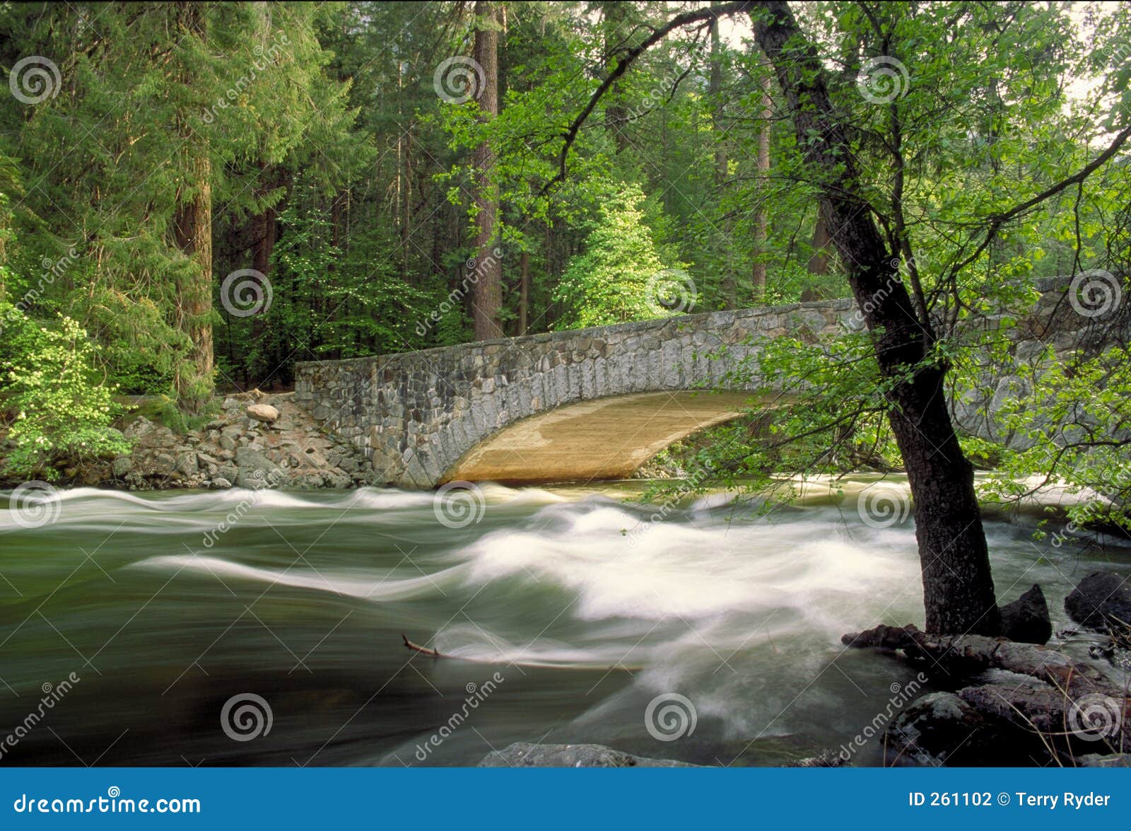 Yosemite Valley Stone Bridge Stock Photo - Image of rocks, rapids: 261102