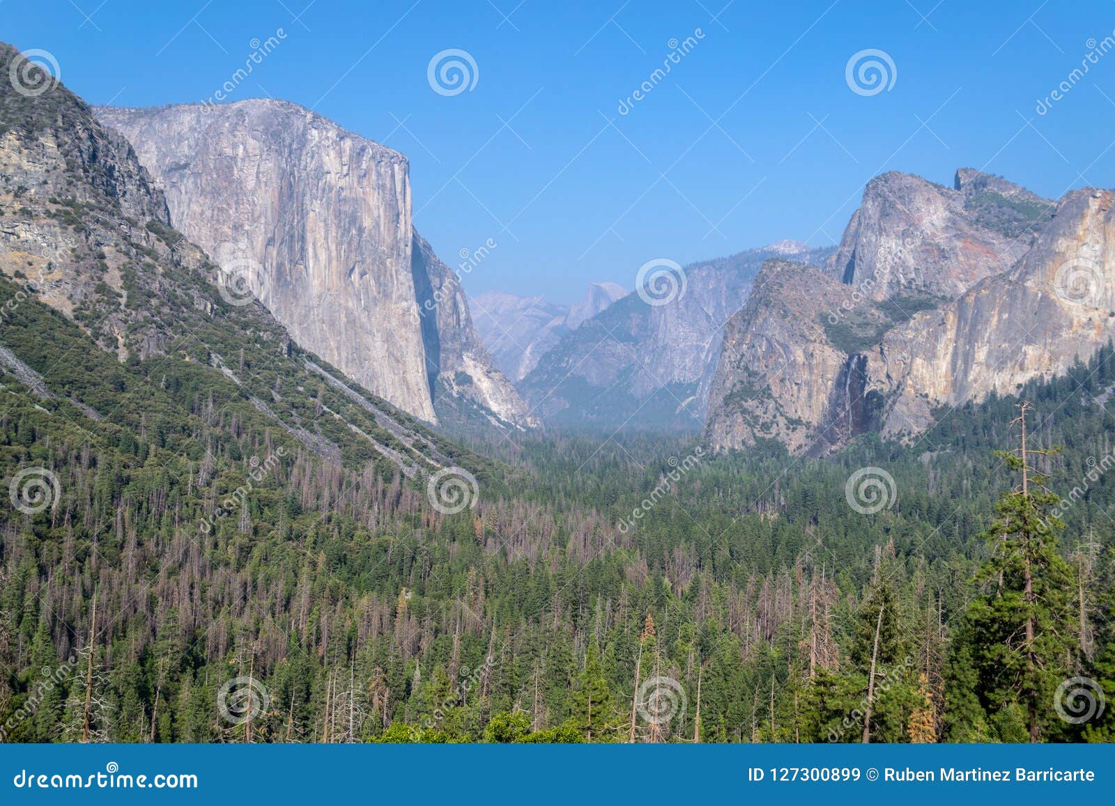 Yosemite Valley from Tunnel View Stock Image - Image of dome, gold ...