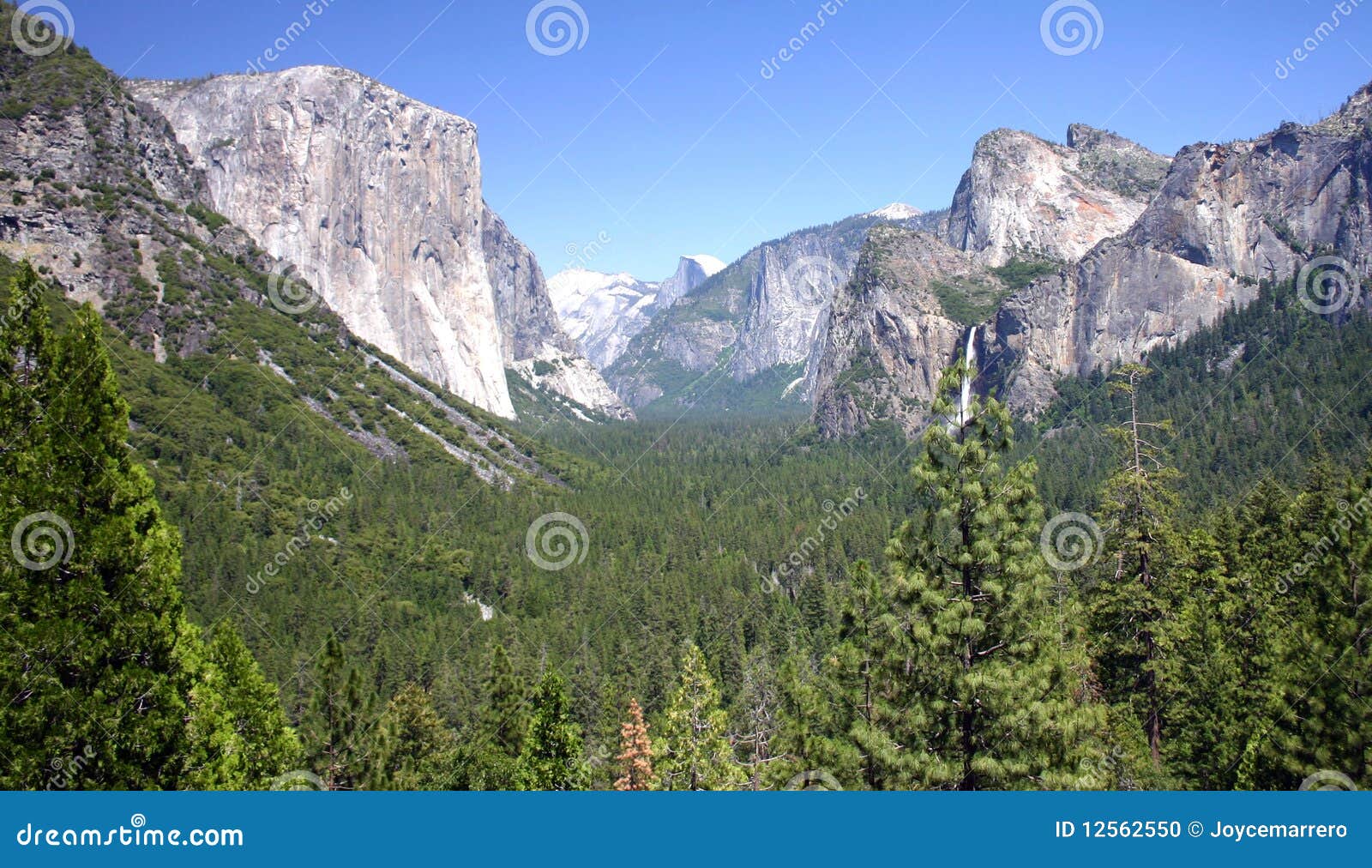 Yosemite View stock photo. Image of conifer, waterfall - 12562550