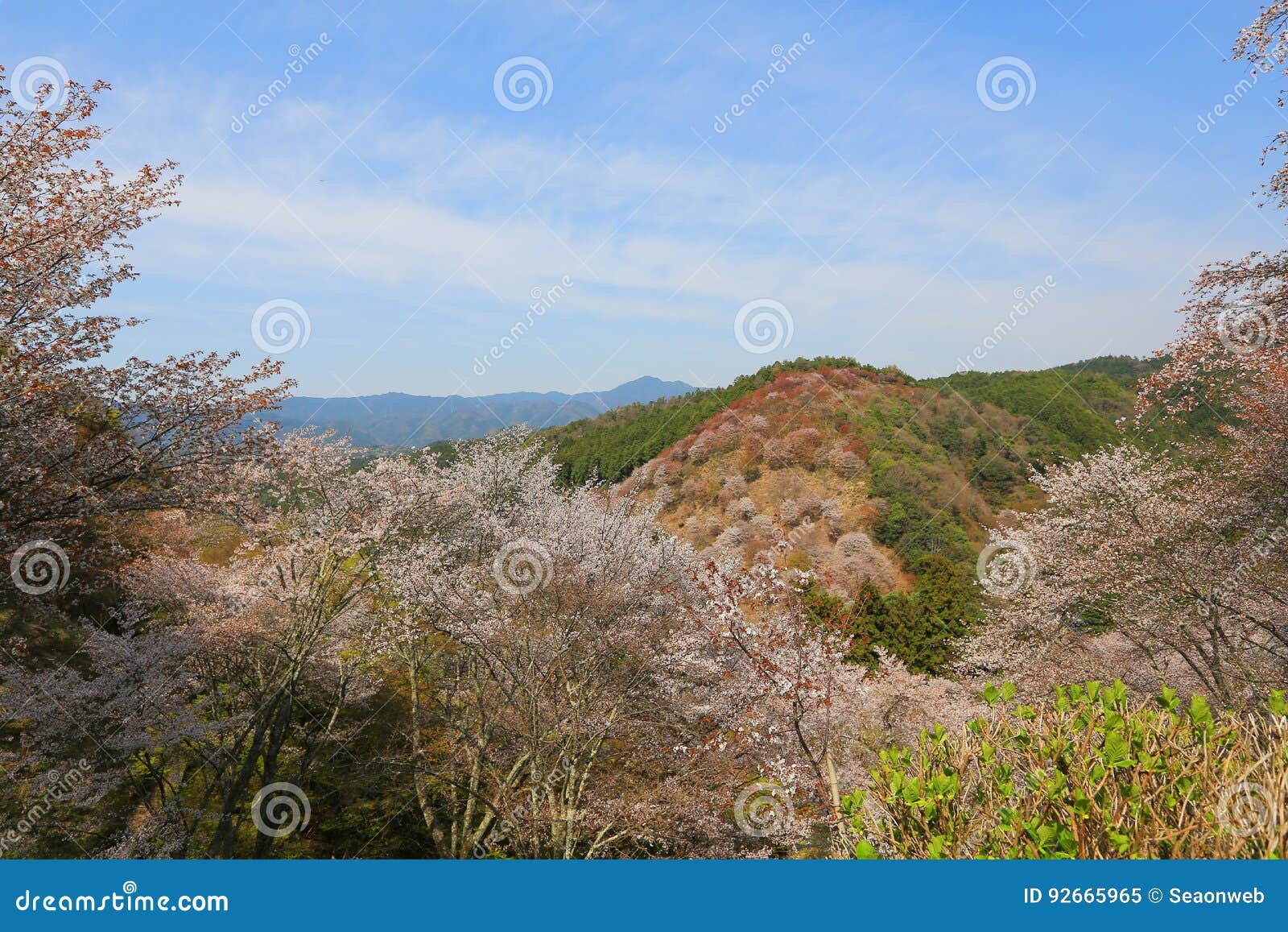 Yoshinoyama, Nara, Japan at the Spring Stock Image - Image of asian ...