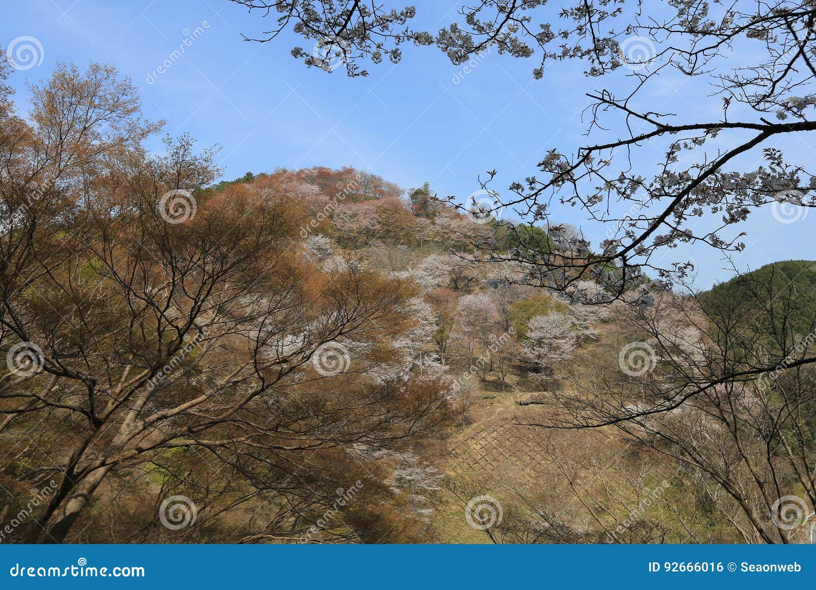 Yoshinoyama, Nara, Japan at the Spring Stock Photo - Image of mountains ...