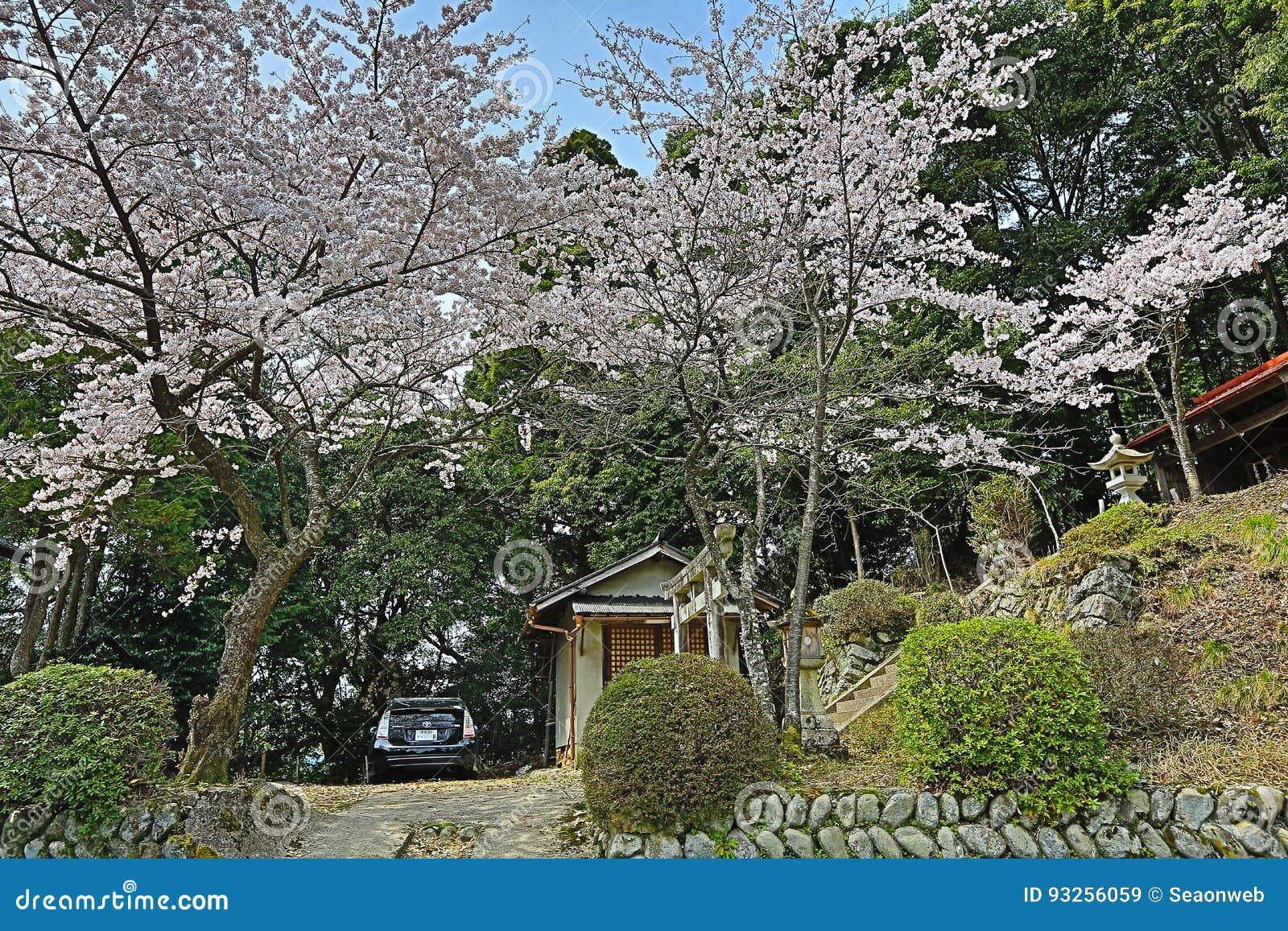 Yoshinoyama, Nara, Japan at the Spring Editorial Stock Image - Image of ...