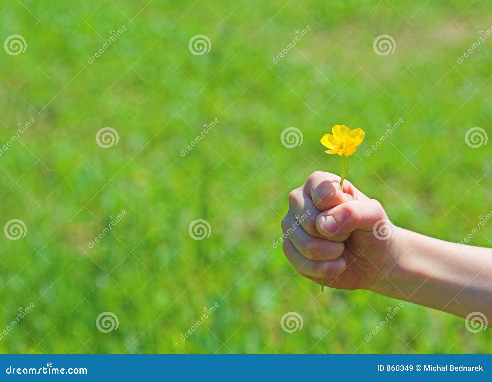 for you.... stock image. Image of love, life, fresh, green - 860349