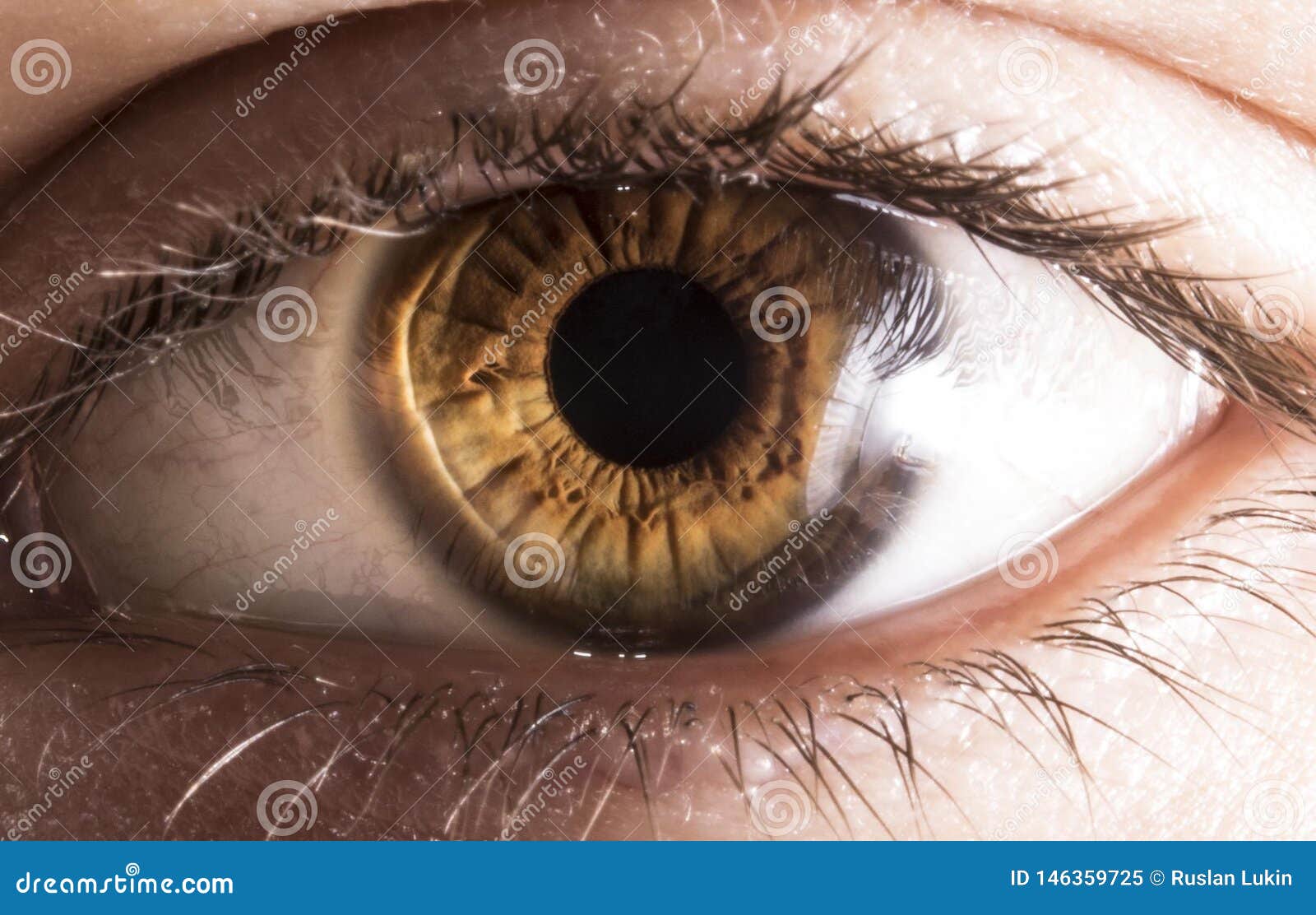 Iridescence of the eye stock image. Image of view, eyes - 146359725
