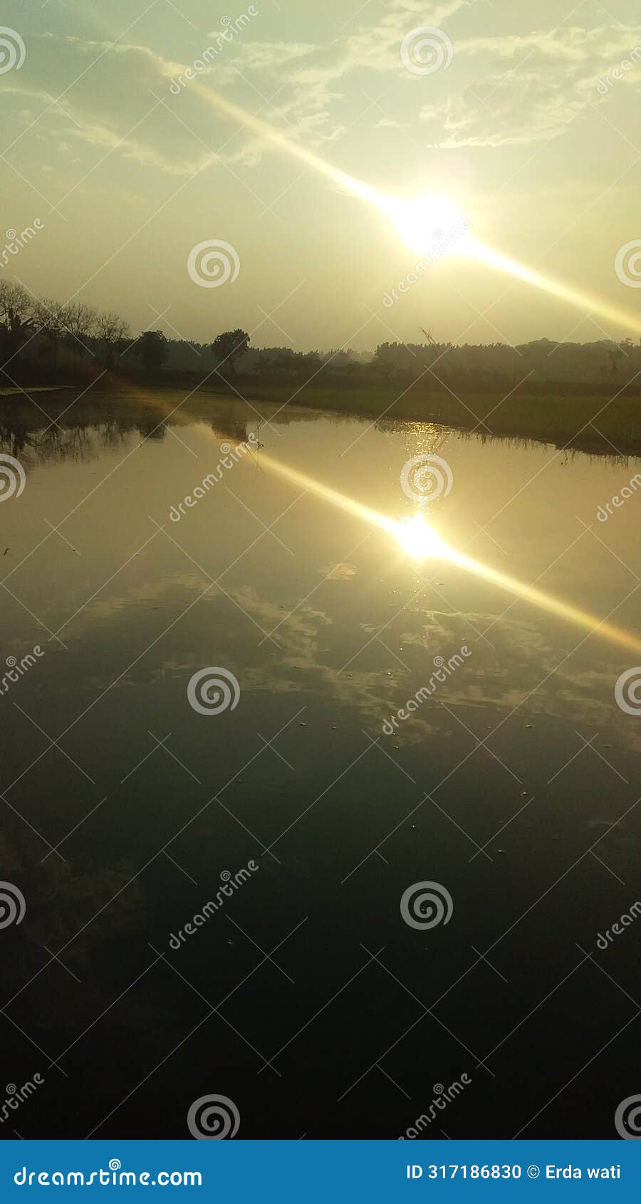 You Can See the Sun& X27;s Shadow on the Rice Fields Stock Photo ...