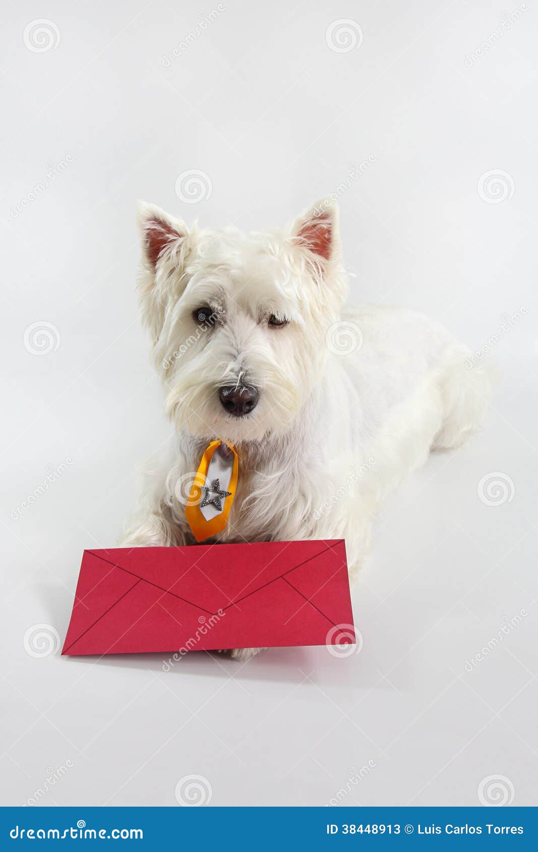 You have dog mail stock image. Image of message, poster - 38448913