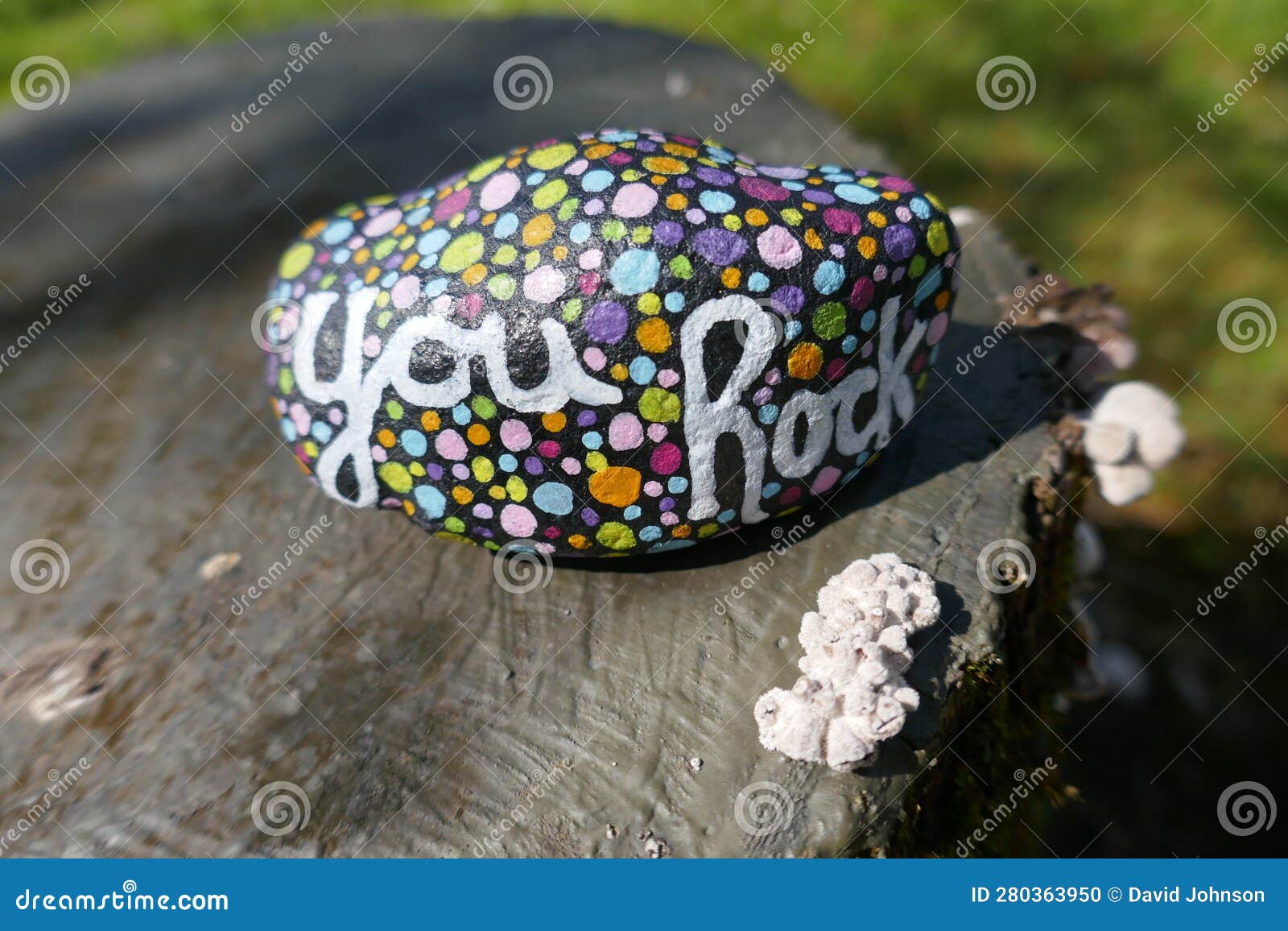 You Rock Kindness Rock Close-up Outdoors on Painted Surface Stock Photo ...