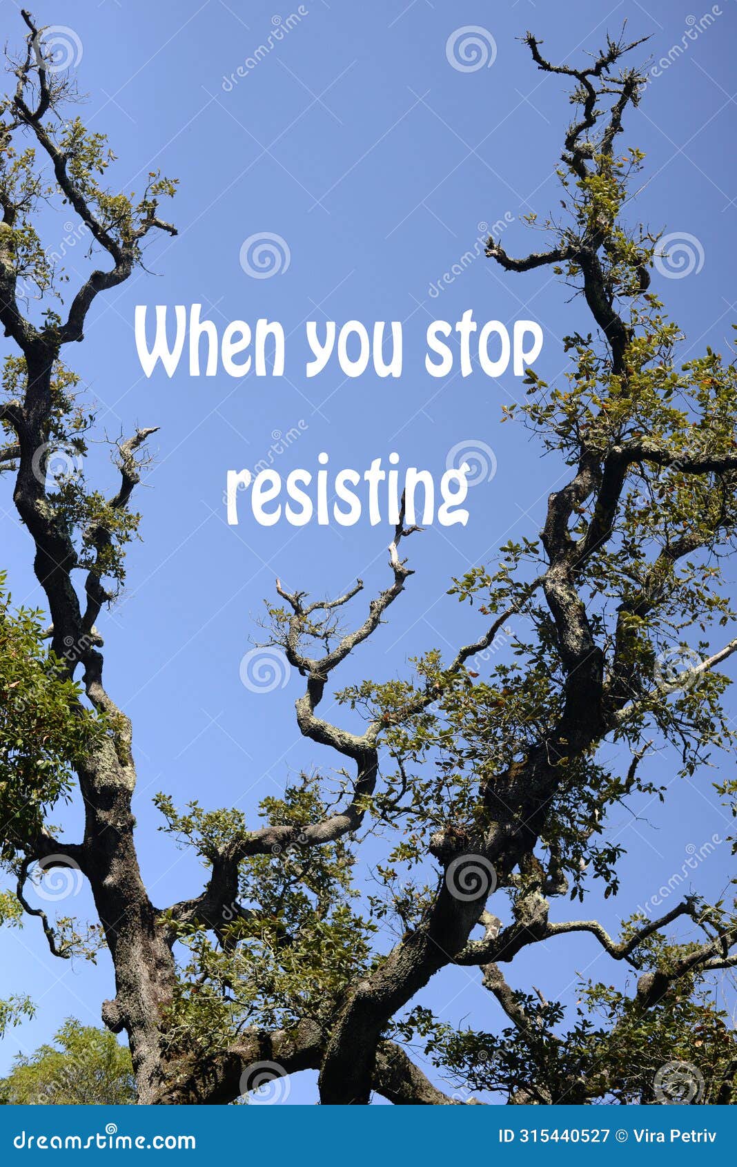 When you stop resisting stock image. Image of resisting - 315440527