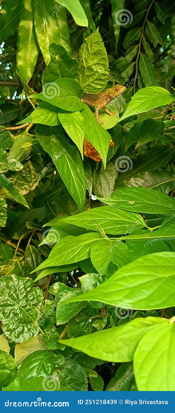 You Will Face Many Defeats in Life, but Never Let Yourself Be Defeated ...