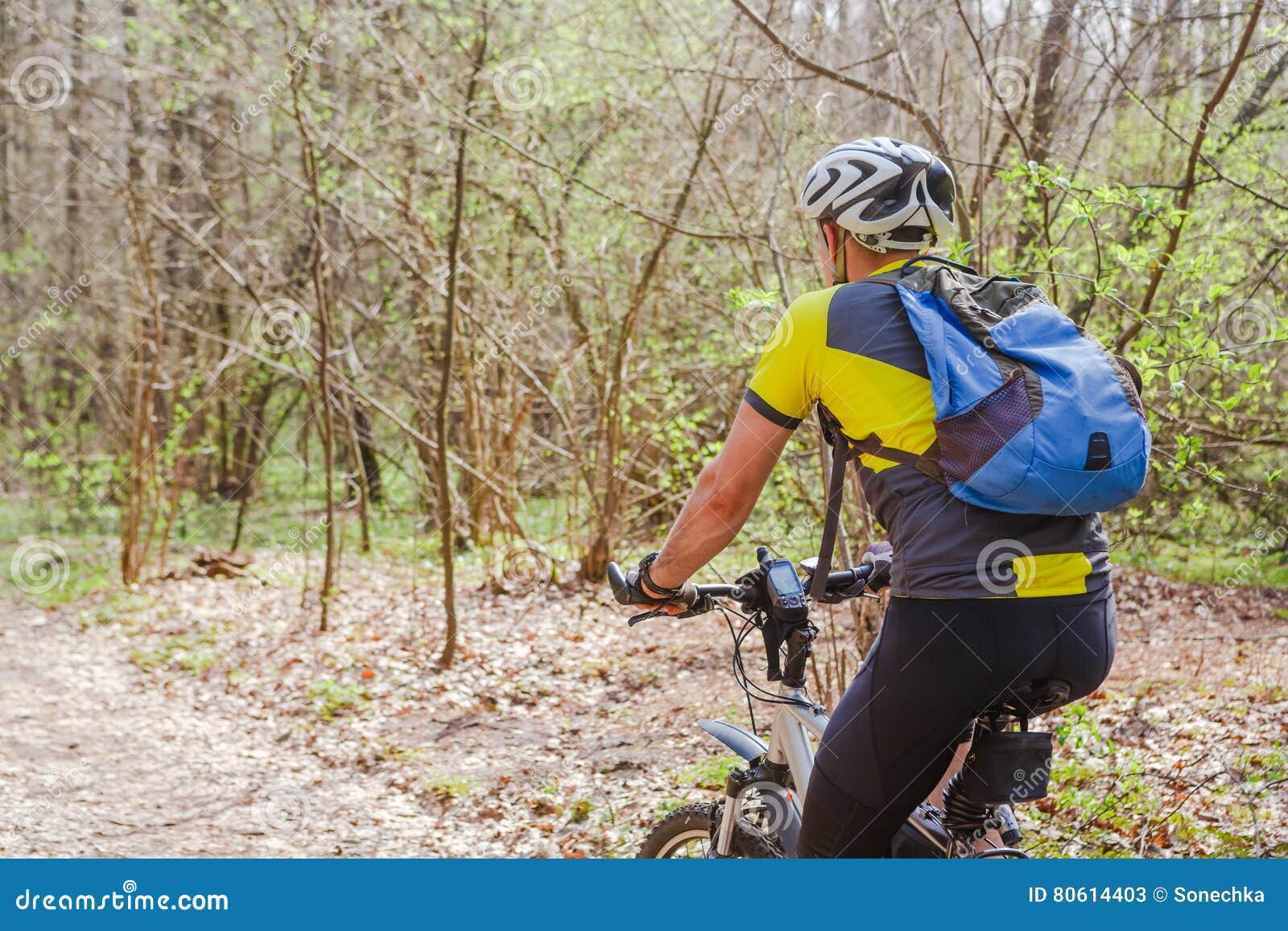 Young Active Man Cycling in Spring Forest Stock Image - Image of forest ...