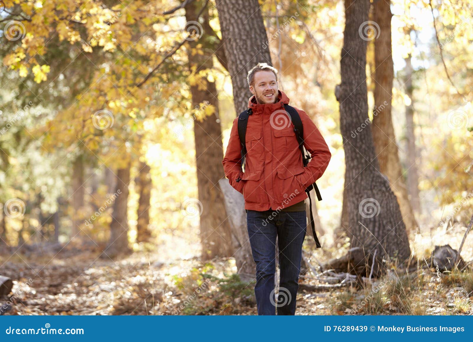 Young Adult Caucasian Man Walking in a Forest Stock Image - Image of ...