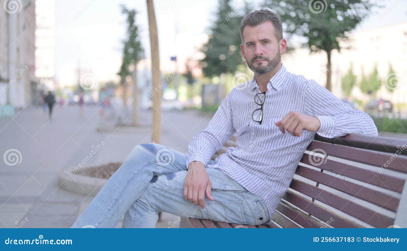 Young Adult Man Looking at Camera while Sitting on Bench Stock Image ...