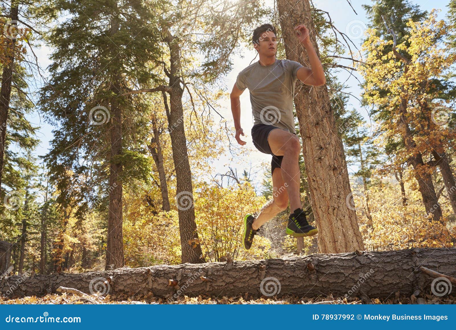 Young Adult Man Running in a Forest, Low Angle View Stock Photo - Image ...