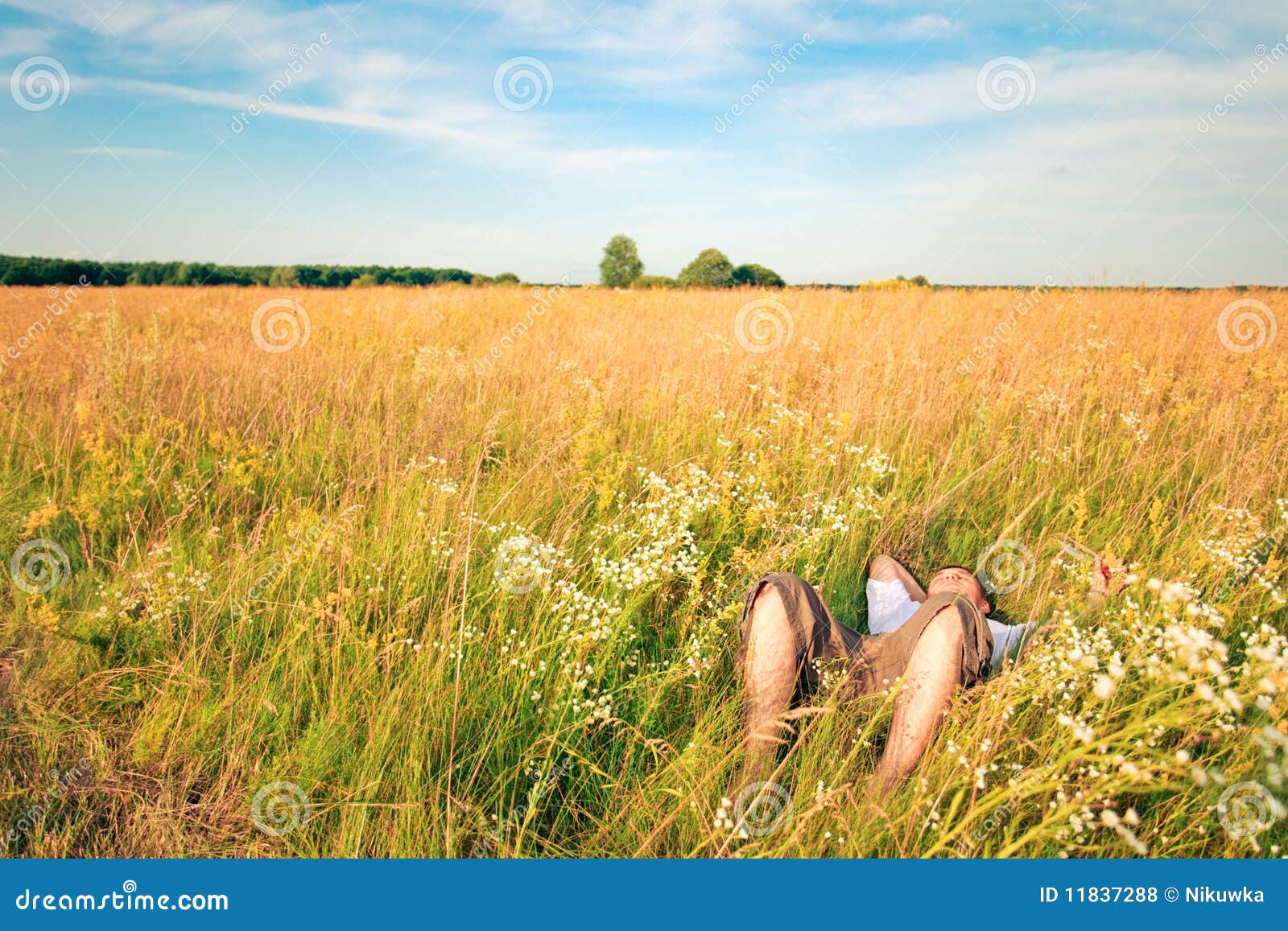 Young Adult Man in Spring Grass Stock Photo - Image of landscape ...