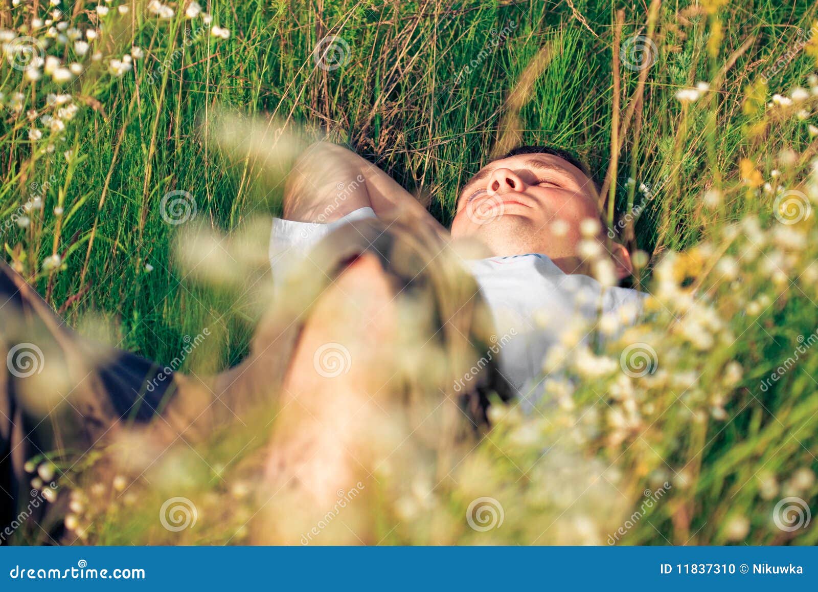 Young Adult Man in Spring Grass Stock Photo - Image of meadow, happy ...