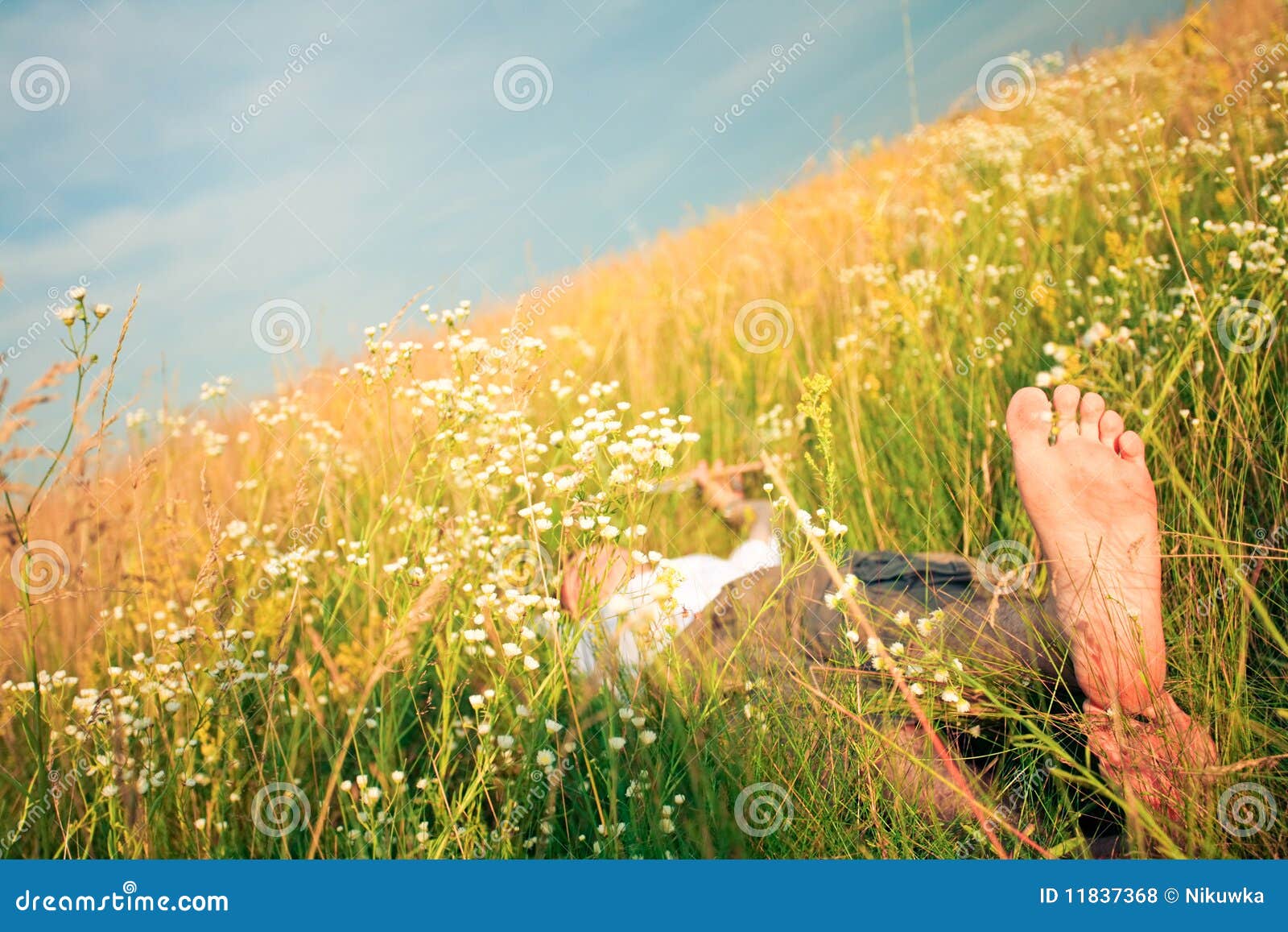 Young Adult Man in Spring Grass Stock Photo - Image of nature, leisure ...