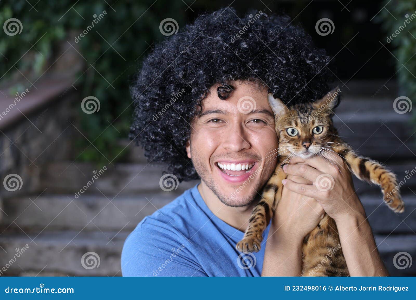 Young Afro Hair Guy with a Bengal Cat Stock Photo - Image of love ...