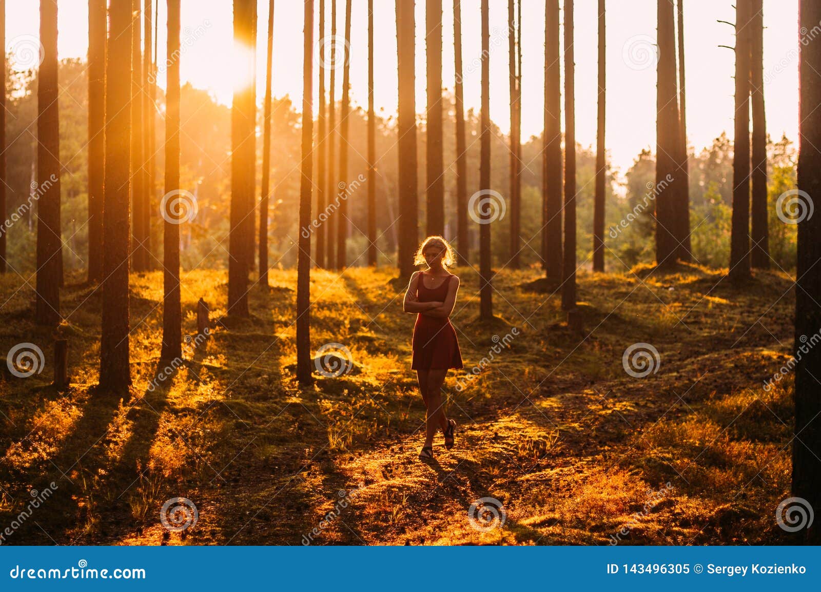 Young Angry Girl in Evening Forest Stock Image - Image of ease ...