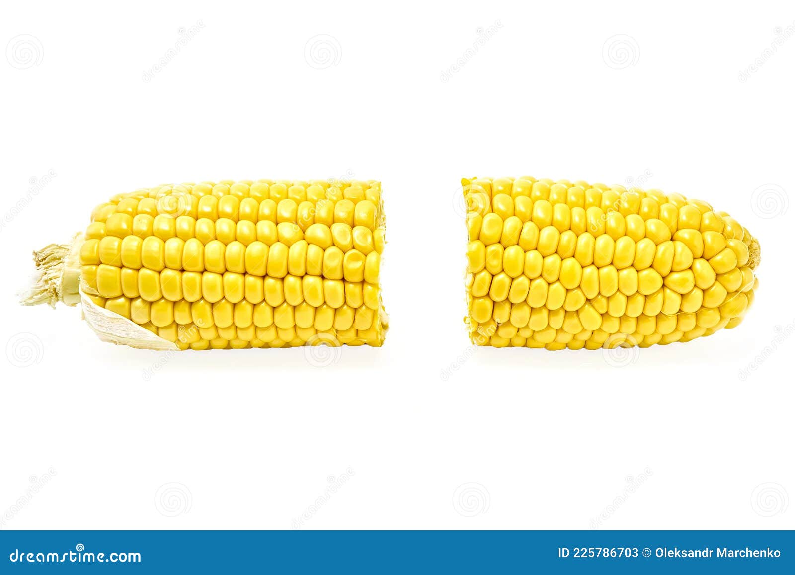 Young Appetizing Corn on the Cob, Cut in Half and Peeled from the ...