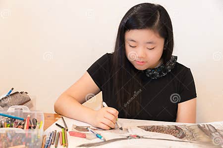 Young Artist Drawing stock photo. Image of concentrating - 28718680