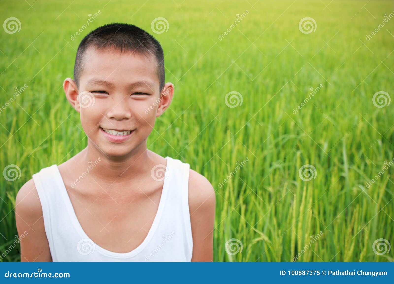Young Asian Boy with Green Rice Field Stock Image - Image of copy ...
