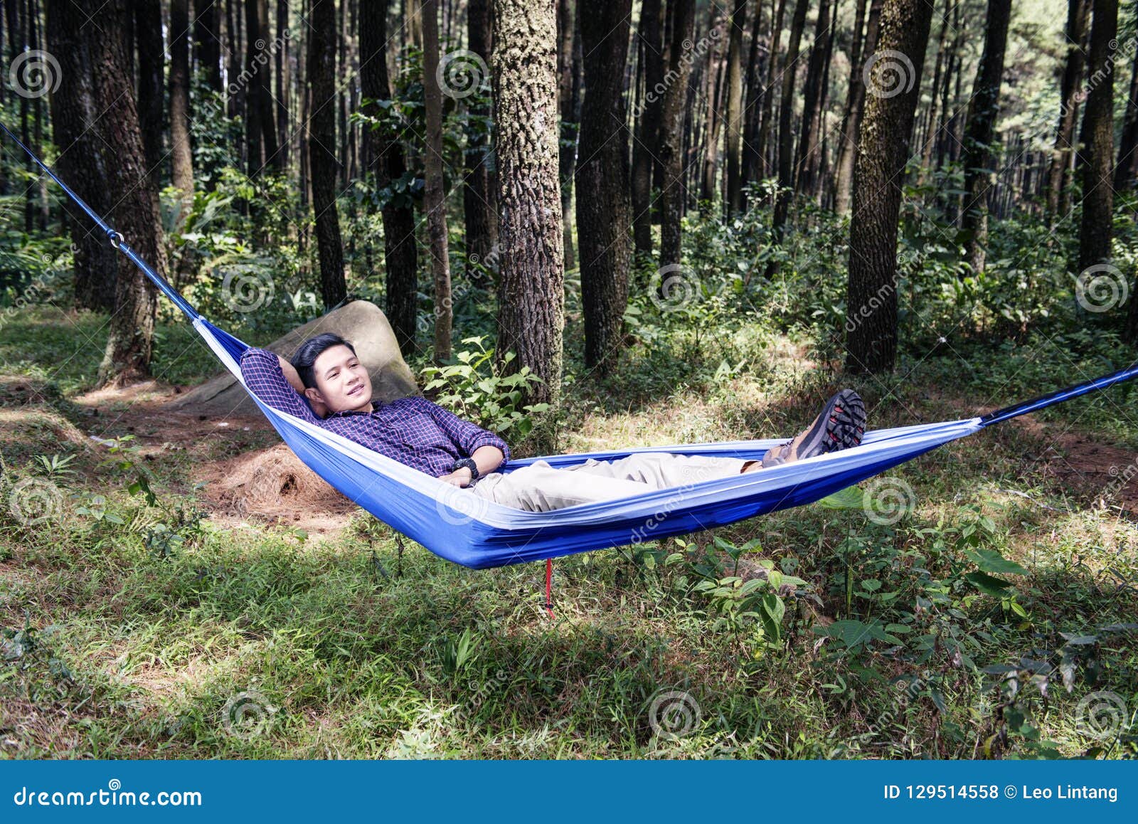 Young Asian Man Relaxing on the Hammock Hanging among Trees Stock Photo ...