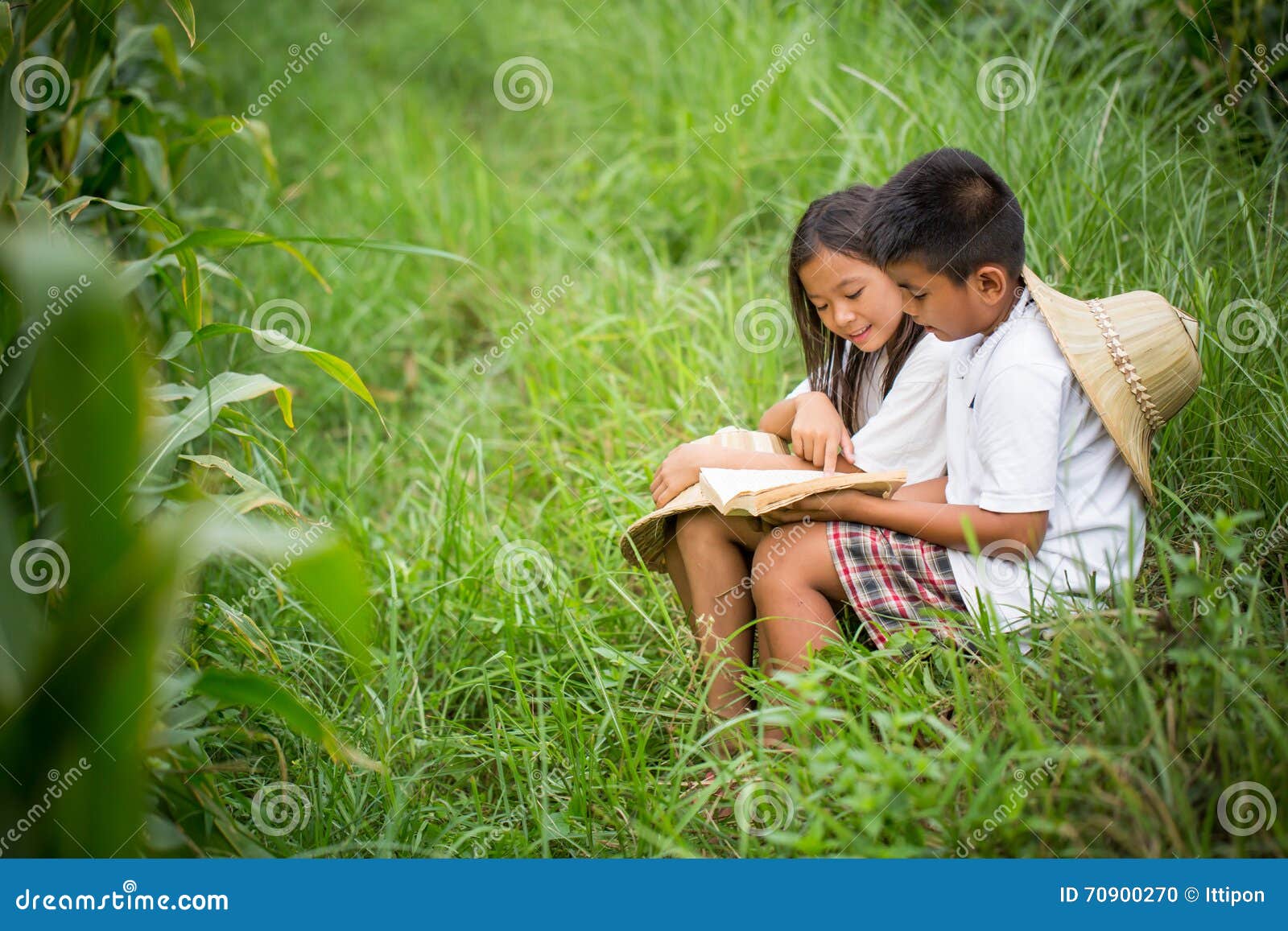 Young asian reading a book stock photo. Image of friend - 70900270