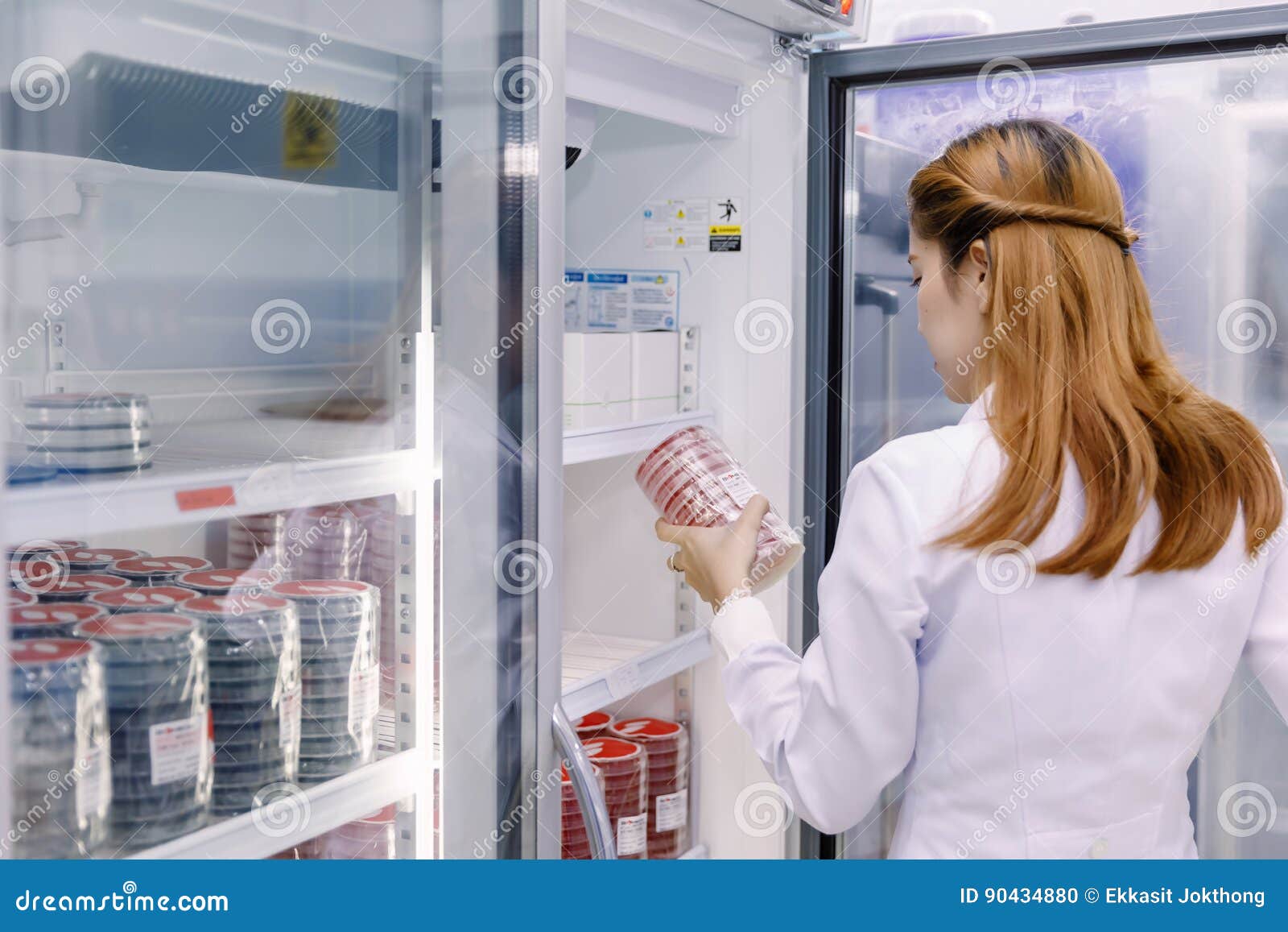 Young Asian Researcher Looking at the Flask in the Science Labor Stock ...