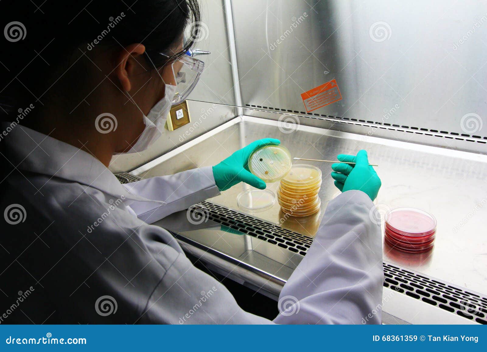 Young Asian Scientist Performing Microbial Tests in Lab - Series 2 ...