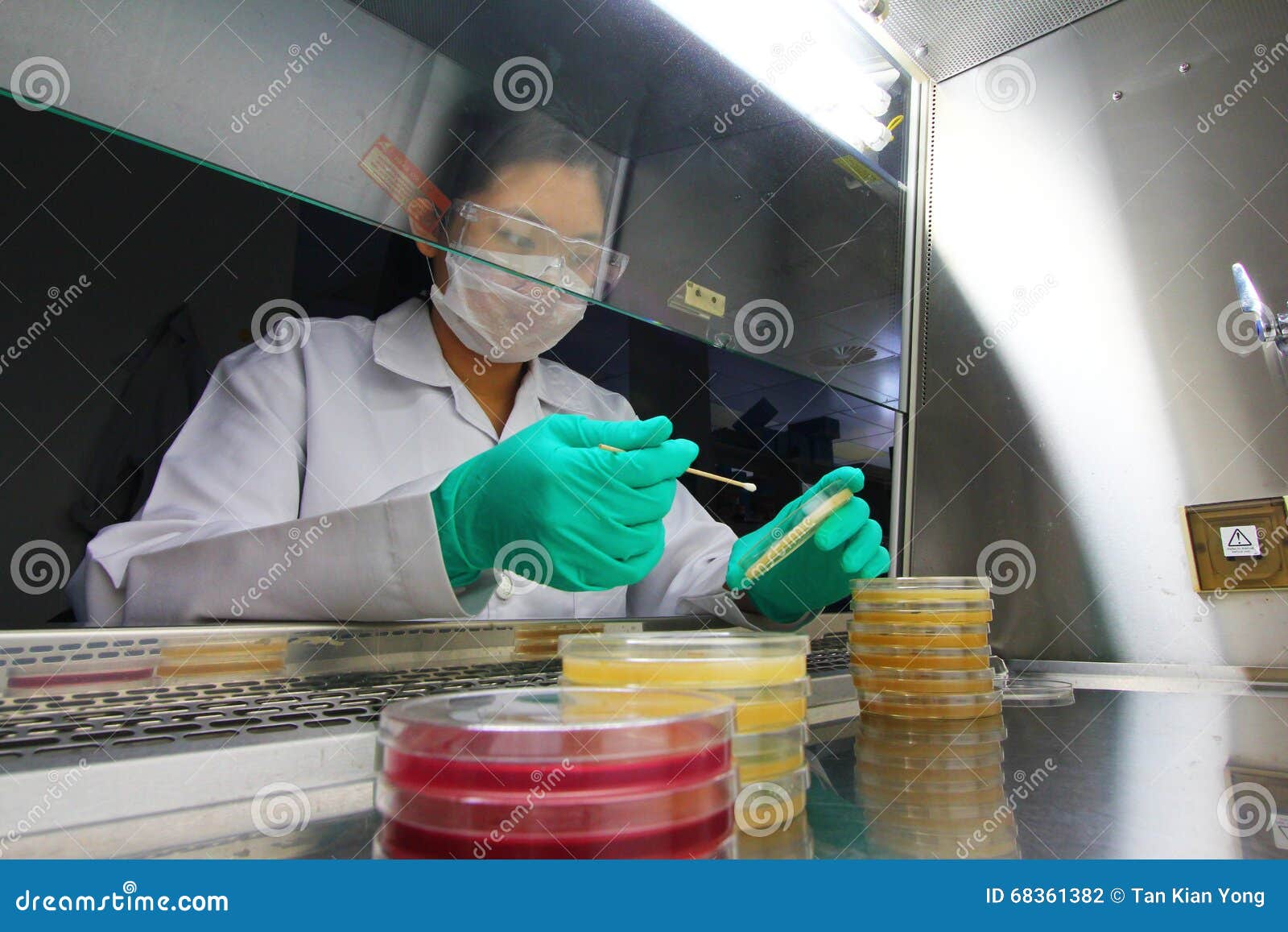 Young Asian Scientist Performing Microbial Tests in Lab - Series 4 ...