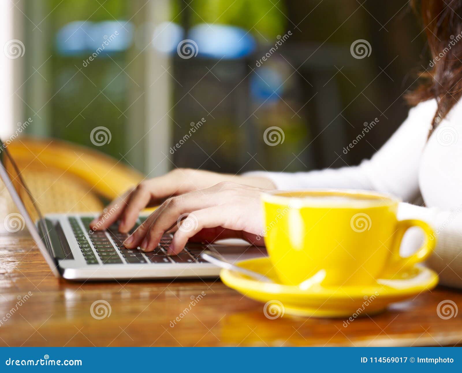 Young Woman Using Laptop in Coffee Shop Stock Image - Image of modern ...