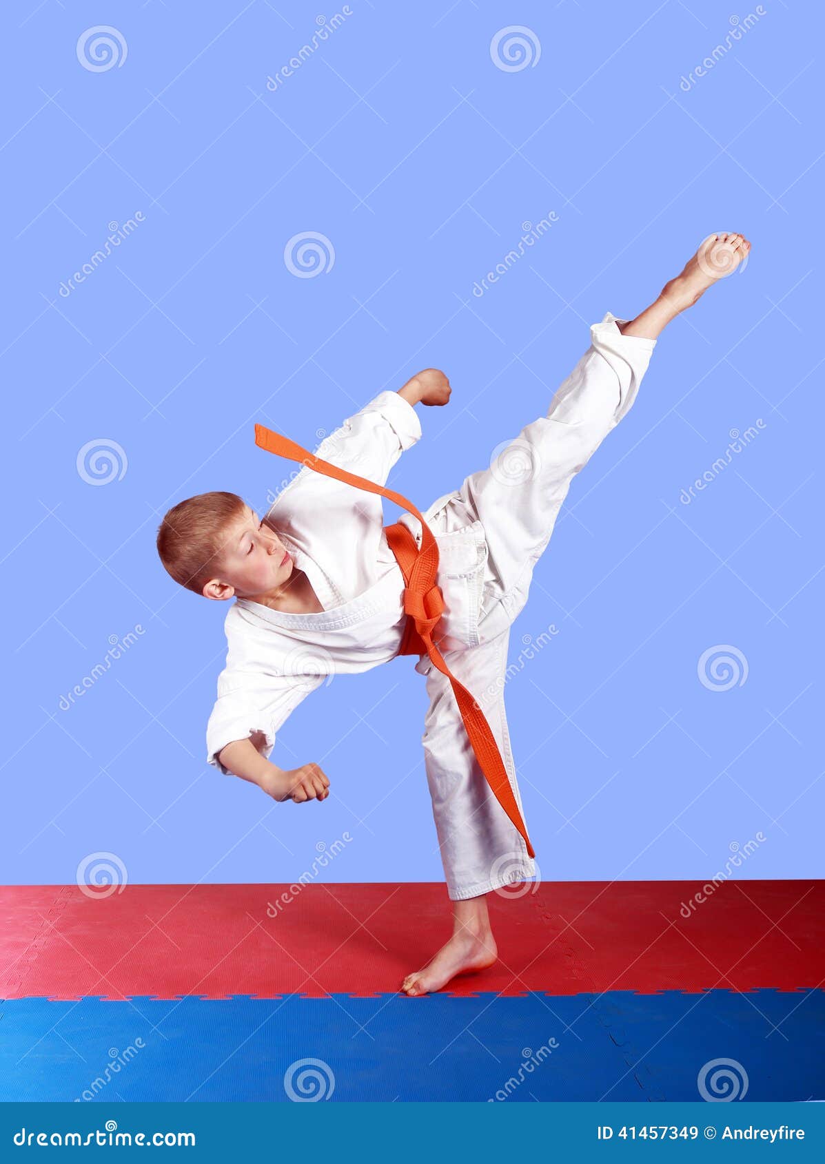 Young Athlete with an Orange Belt Beat a Circular Kick Stock Image ...