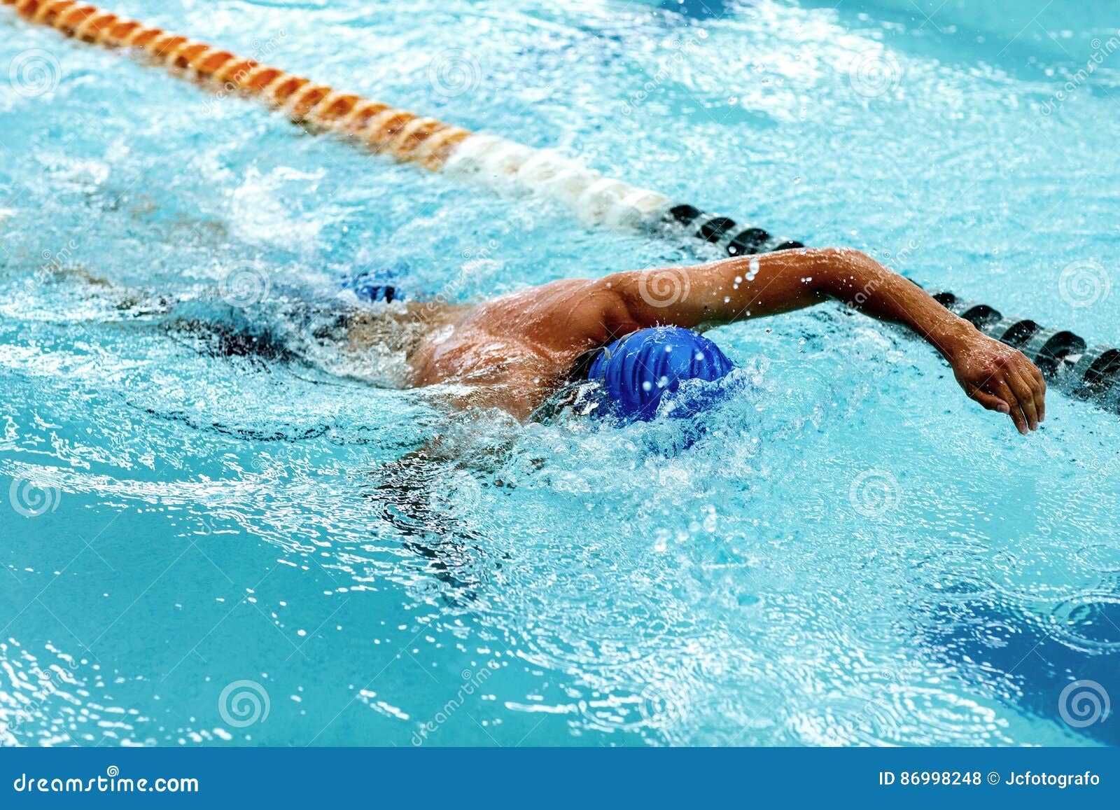 Butterfly Swimming Royalty-Free Stock Image | CartoonDealer.com #13418434