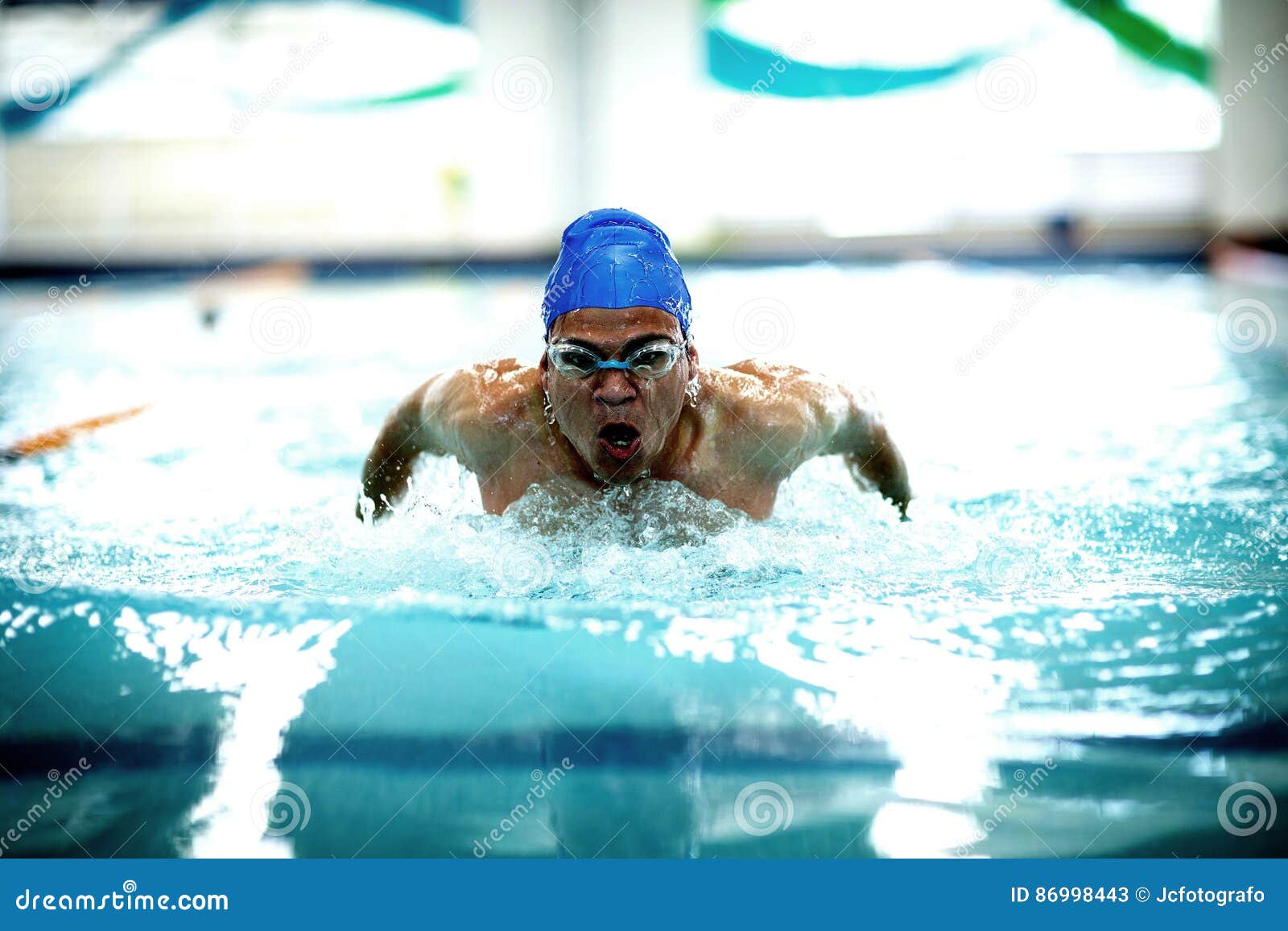 Butterfly Swimming Royalty-Free Stock Image | CartoonDealer.com #13418434