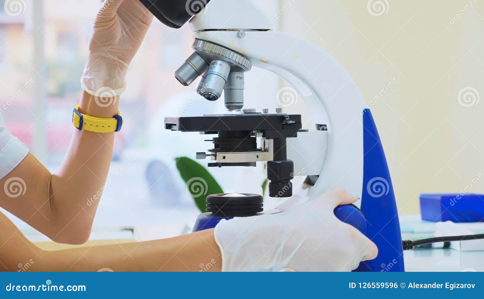 Veterinary Worker Using Microscope for Testing Blood Samples of Animals ...