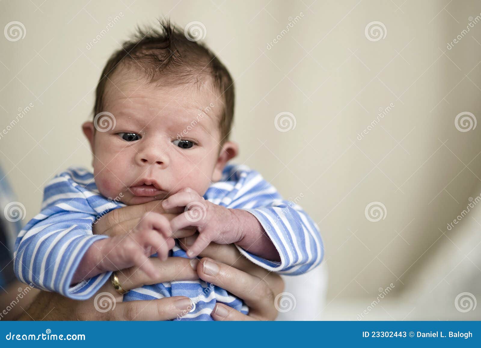 Young baby stock image. Image of young, beautiful, eyes - 23302443