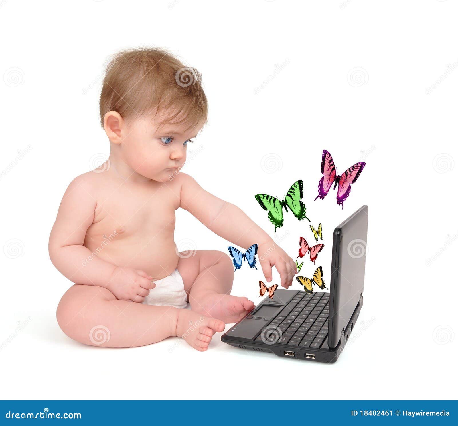 Young Baby on Laoptop Computer with Butterfiles Stock Image - Image of ...